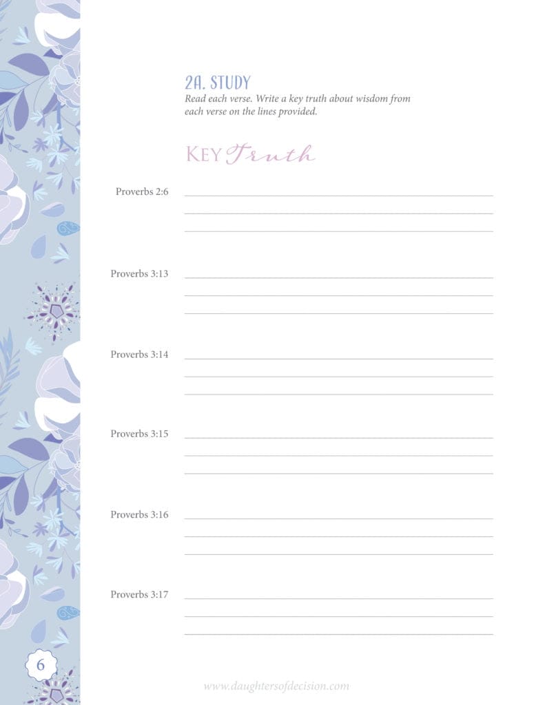 Lovely Snow Flurries Wisdom Bible Study - Daughters of Decision