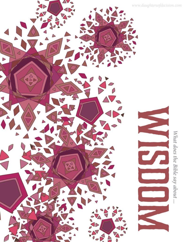 Beautiful Blizzard Wisdom Bible Study - Daughters of Decision