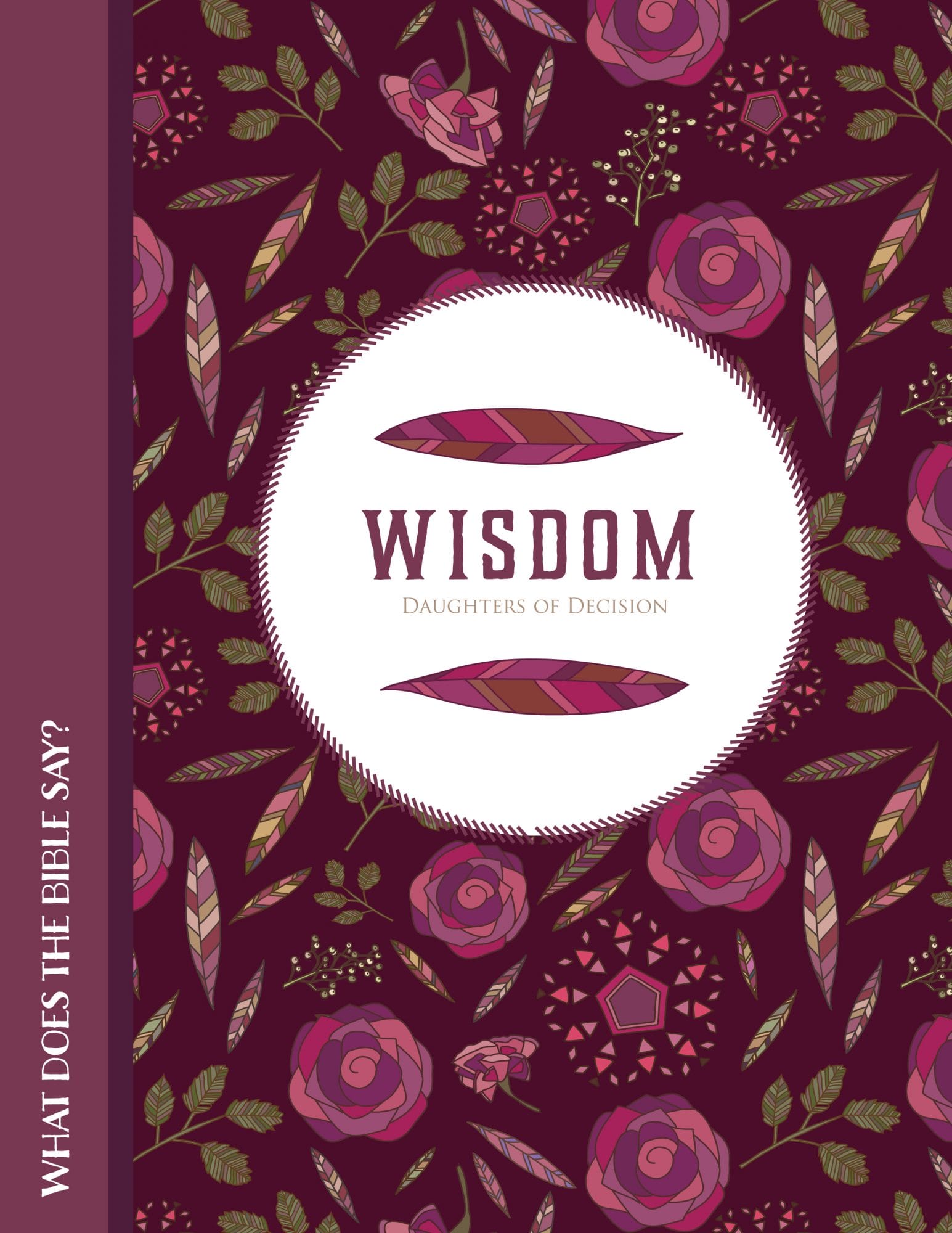 Beautiful Blizzard Wisdom Bible Study - Daughters of Decision